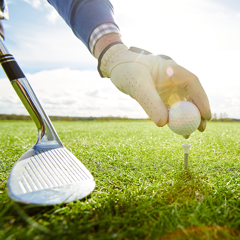 Area Agency on Aging Broward County | 2023 Swing for Seniors Golf ...